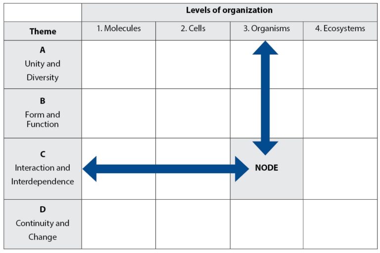 Quick Guide To The Updated IB DP Biology Syllabus (2023)