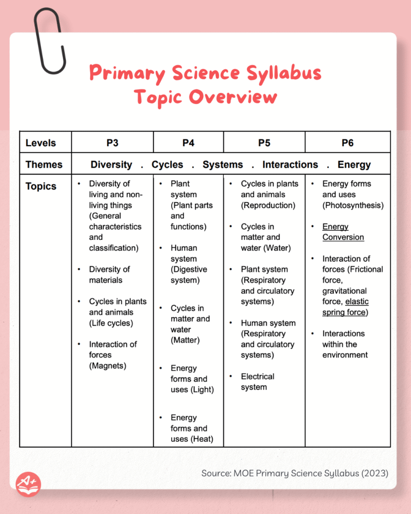 PSLE Science Syllabus: Updates and Changes From 2026